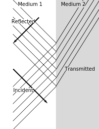 Wolfram Cloud Document