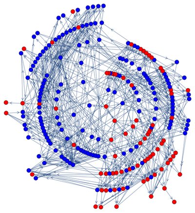 Wolfram Summer School Projects