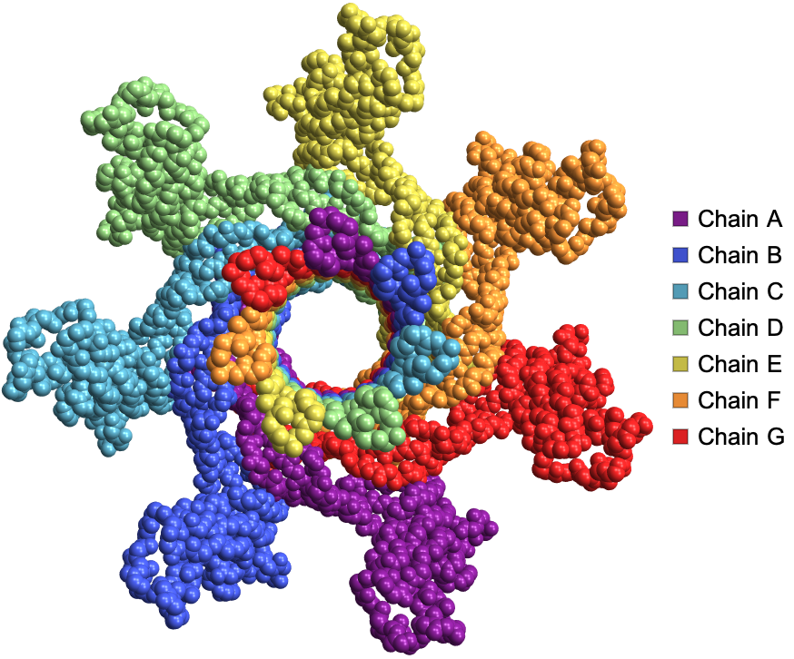 ProteinVisualization | Wolfram Language Paclet Repository