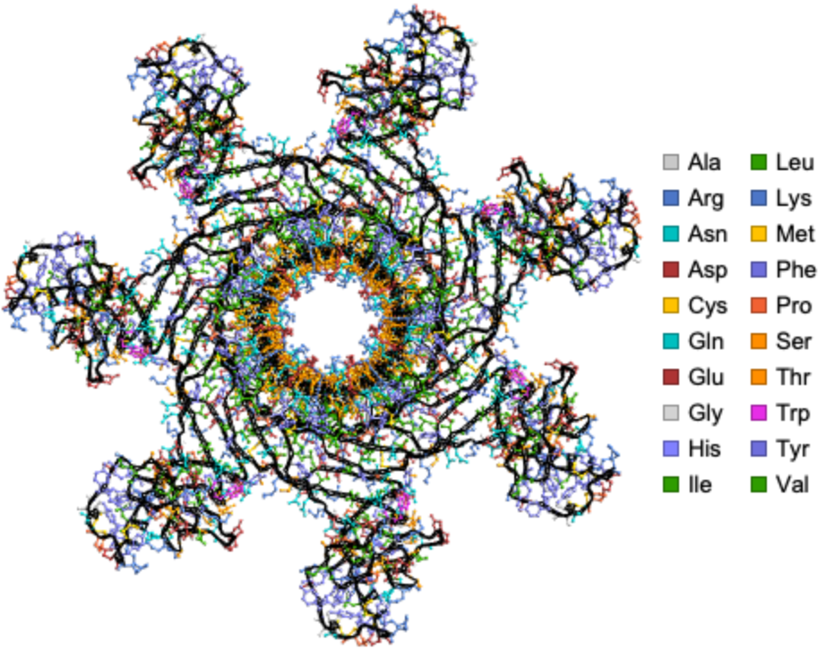 ProteinVisualization | Wolfram Language Paclet Repository