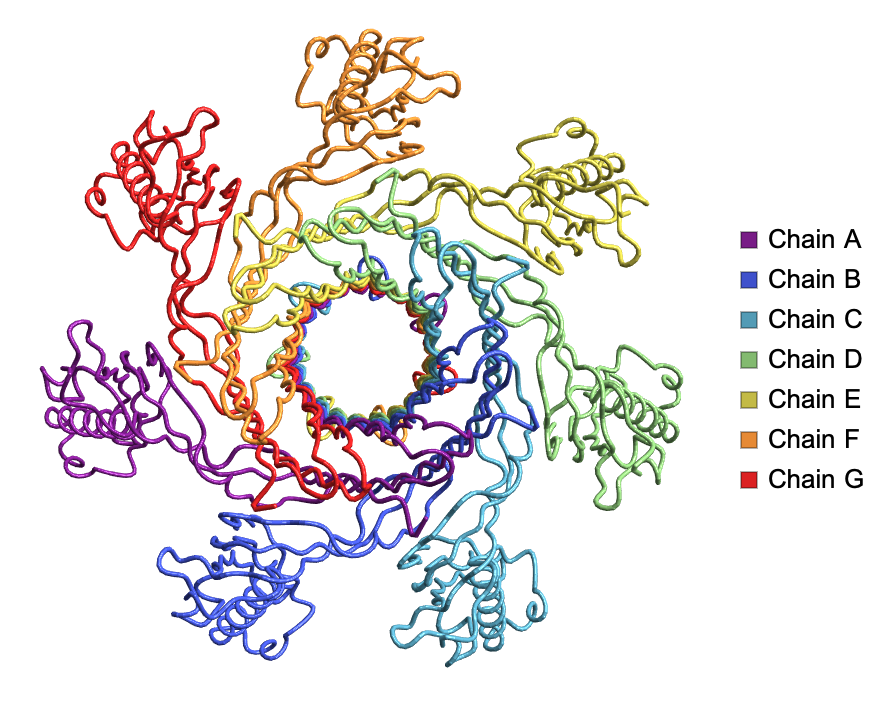ProteinVisualization | Wolfram Language Paclet Repository