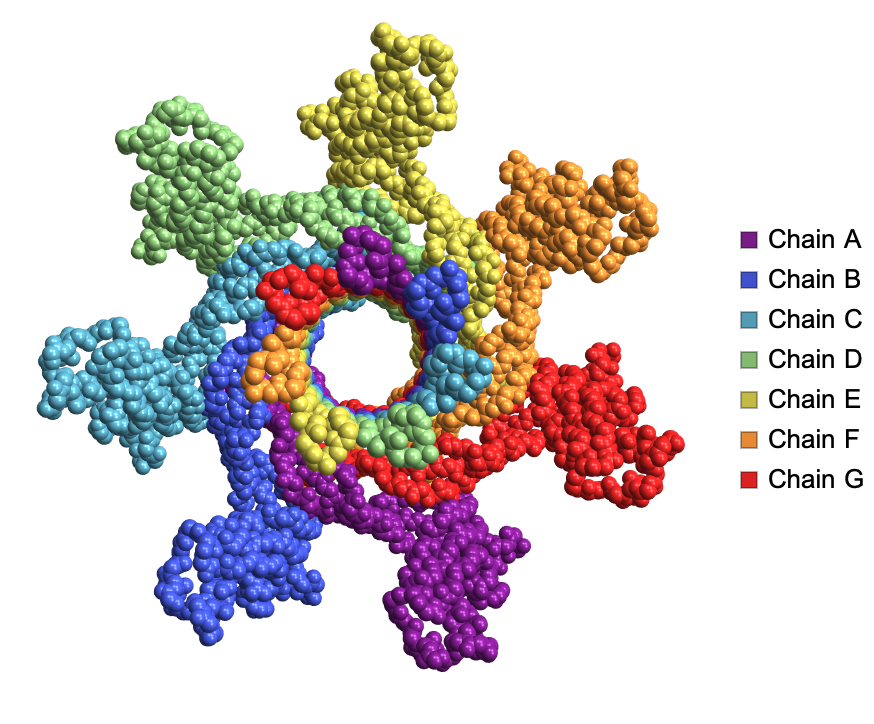 ProteinVisualization | Wolfram Language Paclet Repository