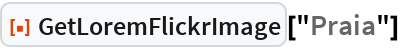 GetLoremFlickrImage | Wolfram Function Repository