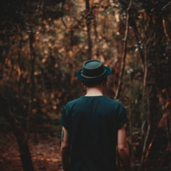 GetUnsplashImage | Wolfram Function Repository