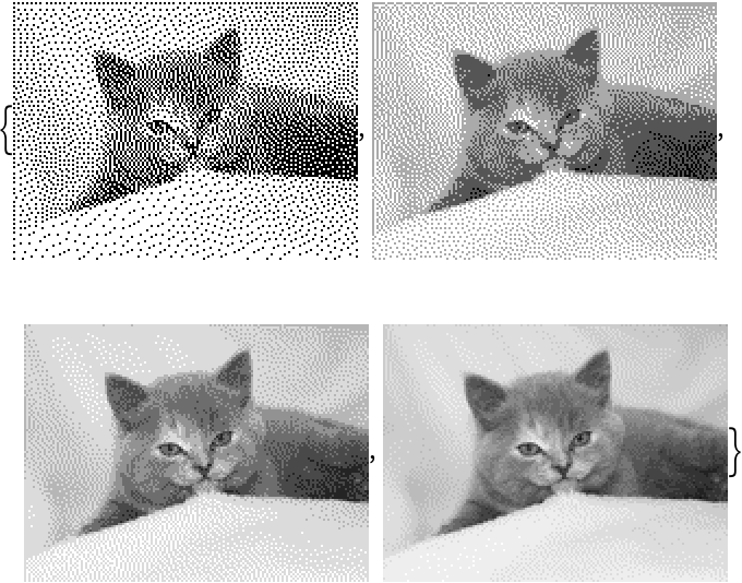 FloydSteinbergDithering | Wolfram Function Repository