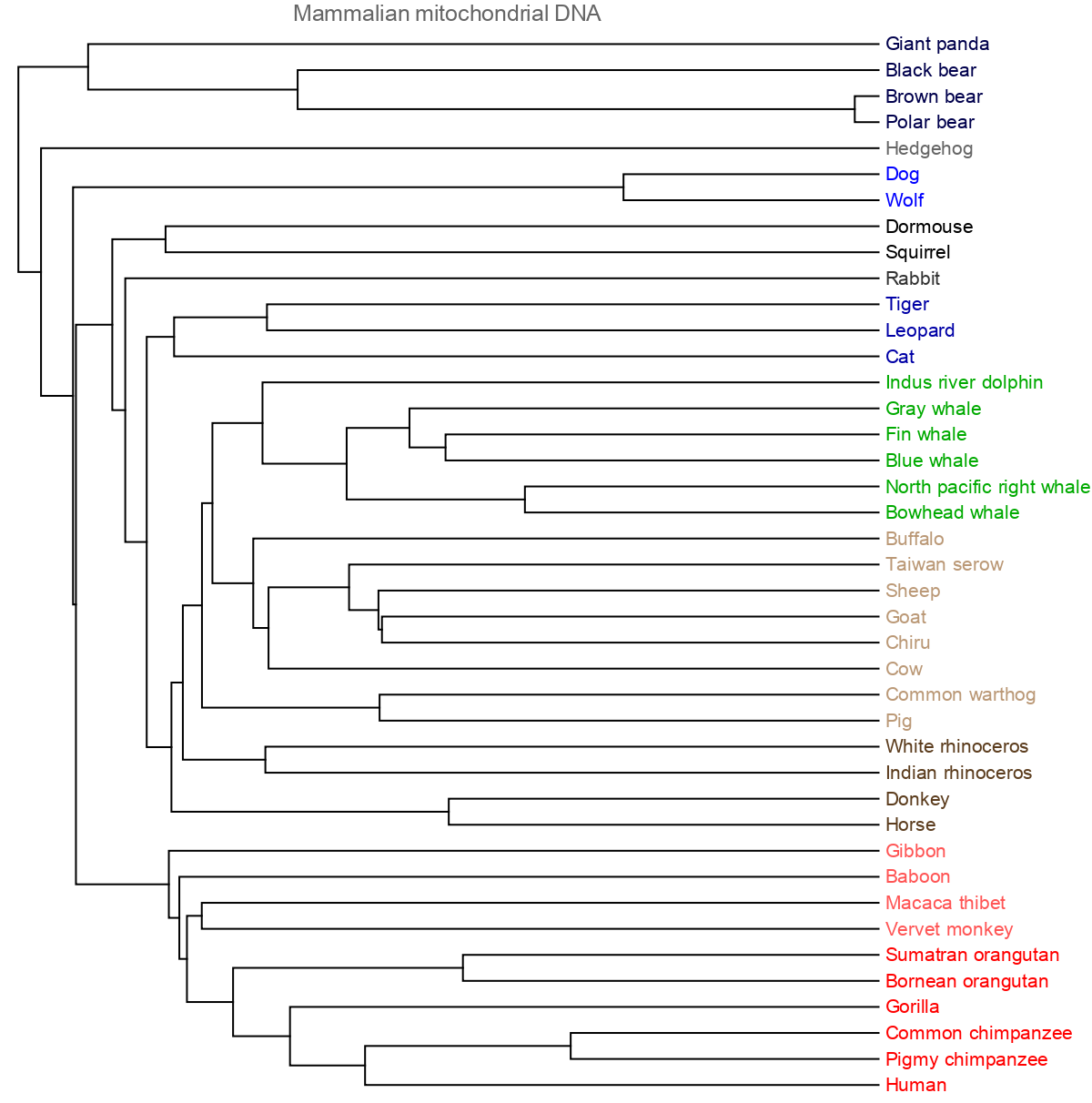 PhylogeneticTreePlot | Wolfram Function Repository