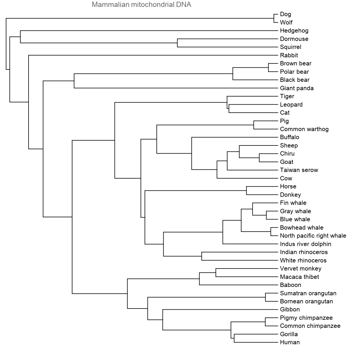 PhylogeneticTreePlot | Wolfram Function Repository
