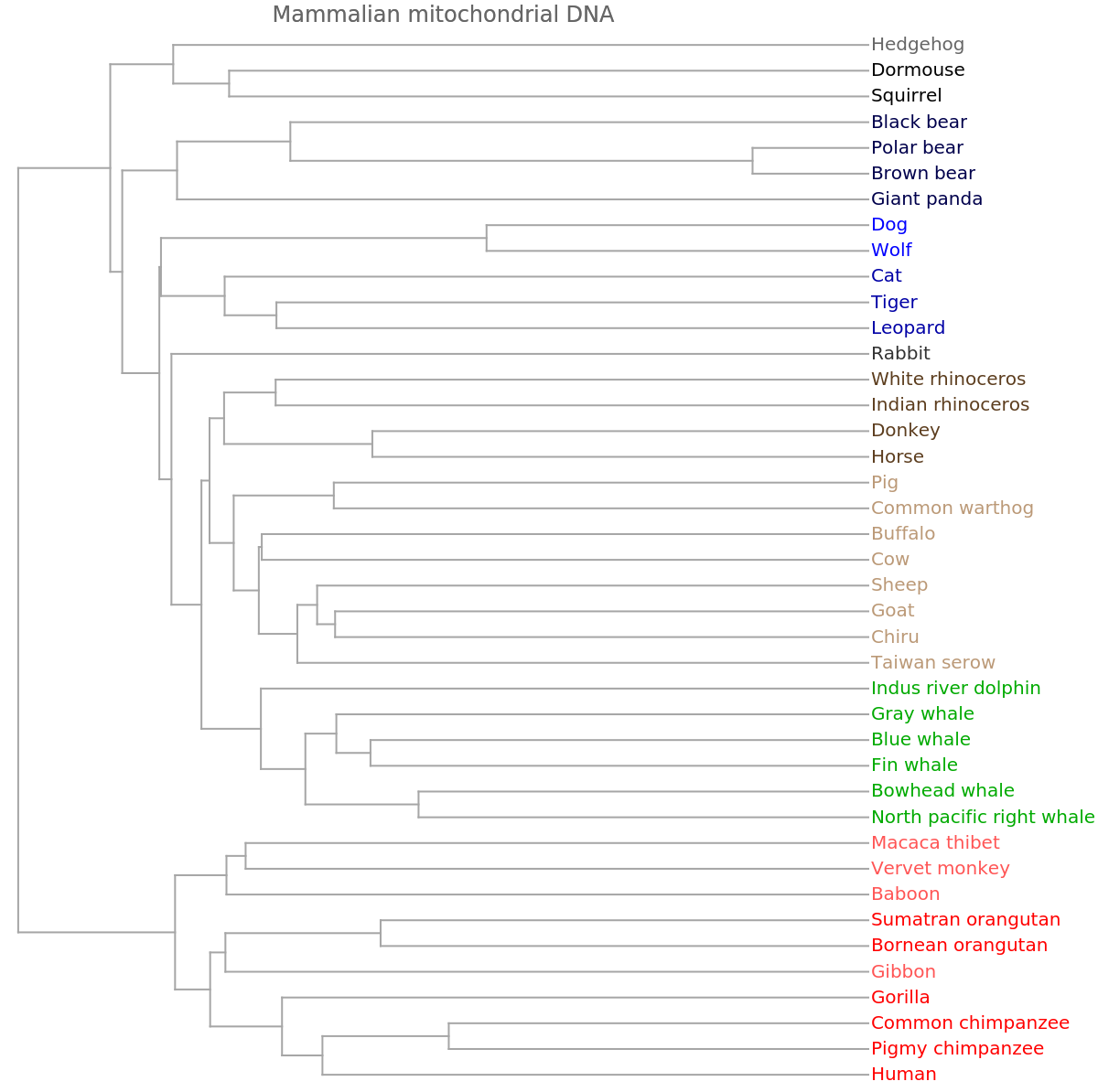 PhylogeneticTreePlot | Wolfram Function Repository