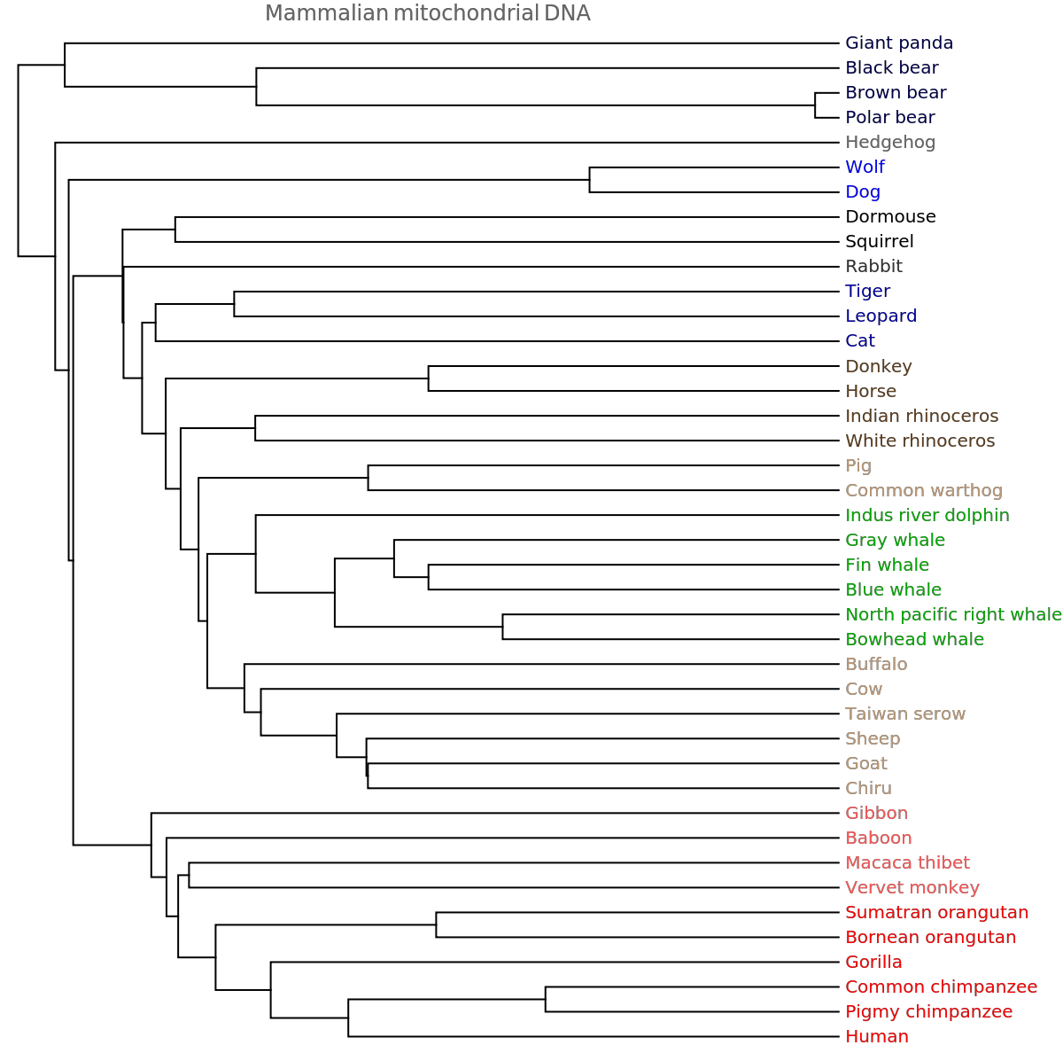 PhylogeneticTreePlot | Wolfram Function Repository