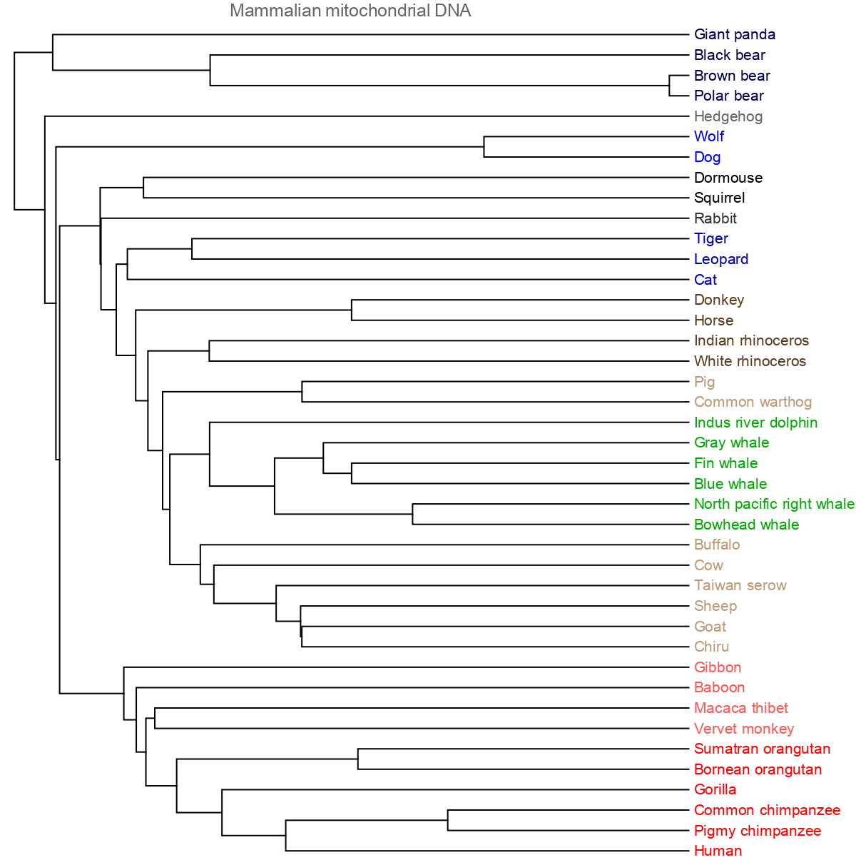 PhylogeneticTreePlot | Wolfram Function Repository