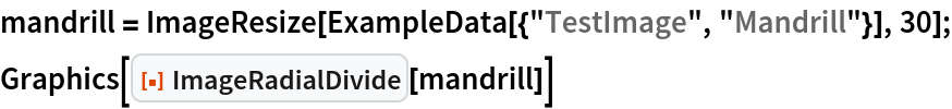ImageRadialDivide | Wolfram Function Repository