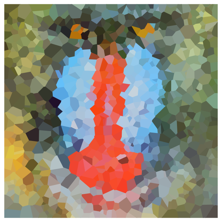 PolyPainting | Wolfram Function Repository