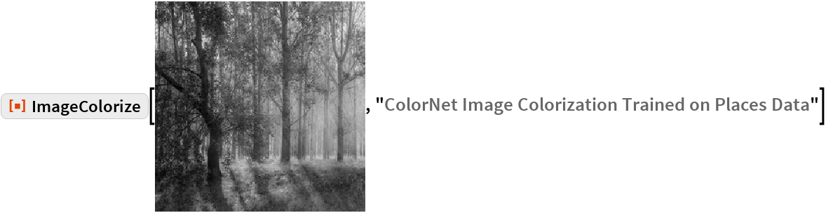 ImageColorize | Wolfram Function Repository
