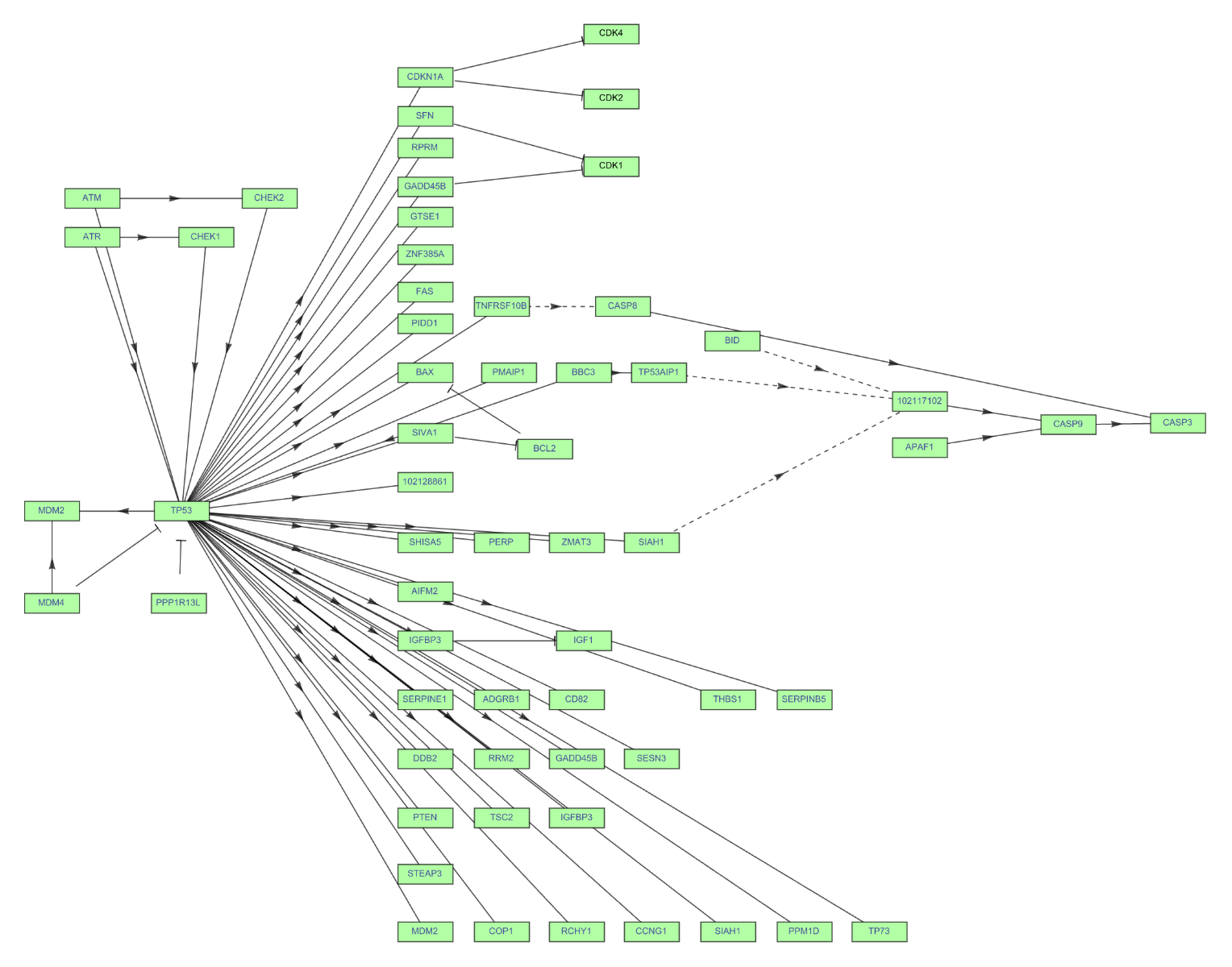 KEGGPathway | Wolfram Function Repository