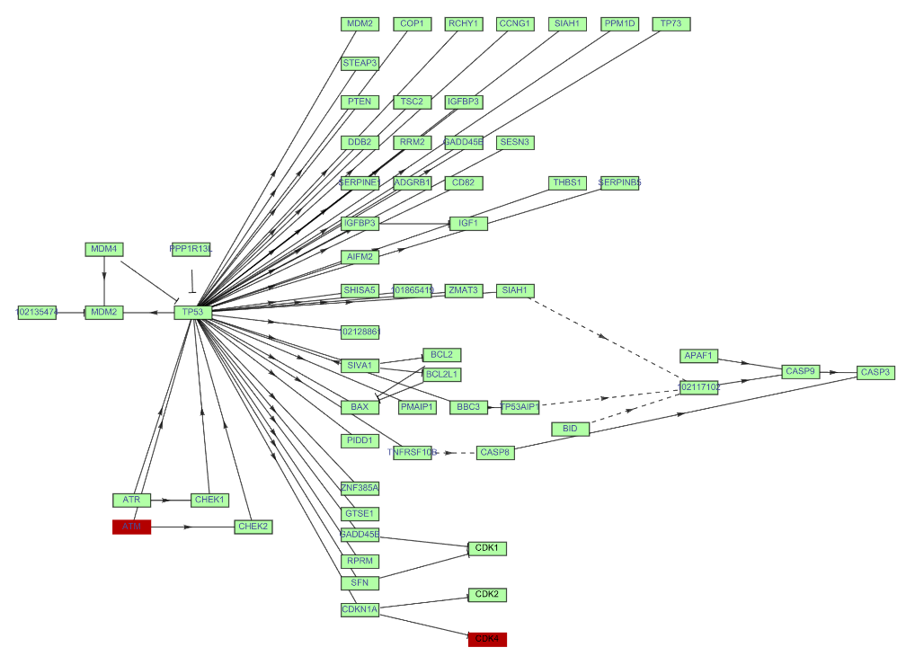KEGGPathway | Wolfram Function Repository