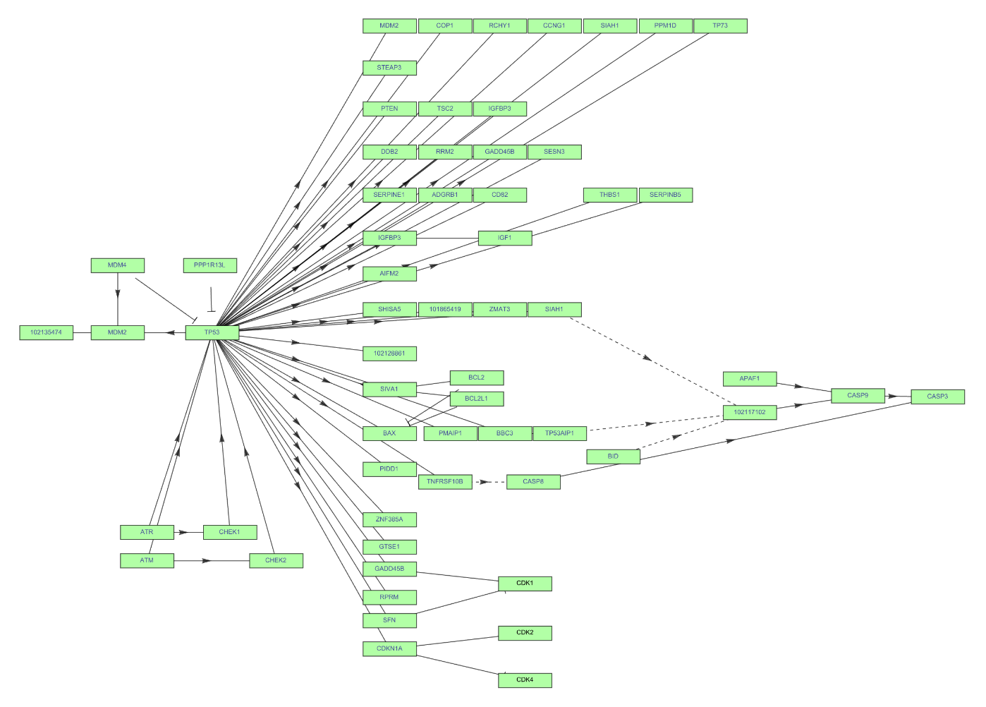 KEGGPathway | Wolfram Function Repository