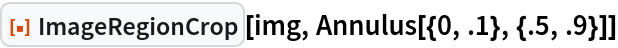 ImageRegionCrop | Wolfram Function Repository
