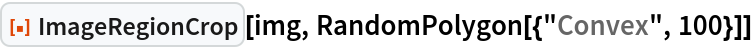 ImageRegionCrop | Wolfram Function Repository