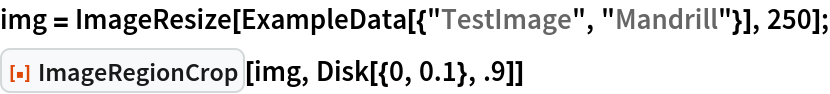 ImageRegionCrop | Wolfram Function Repository
