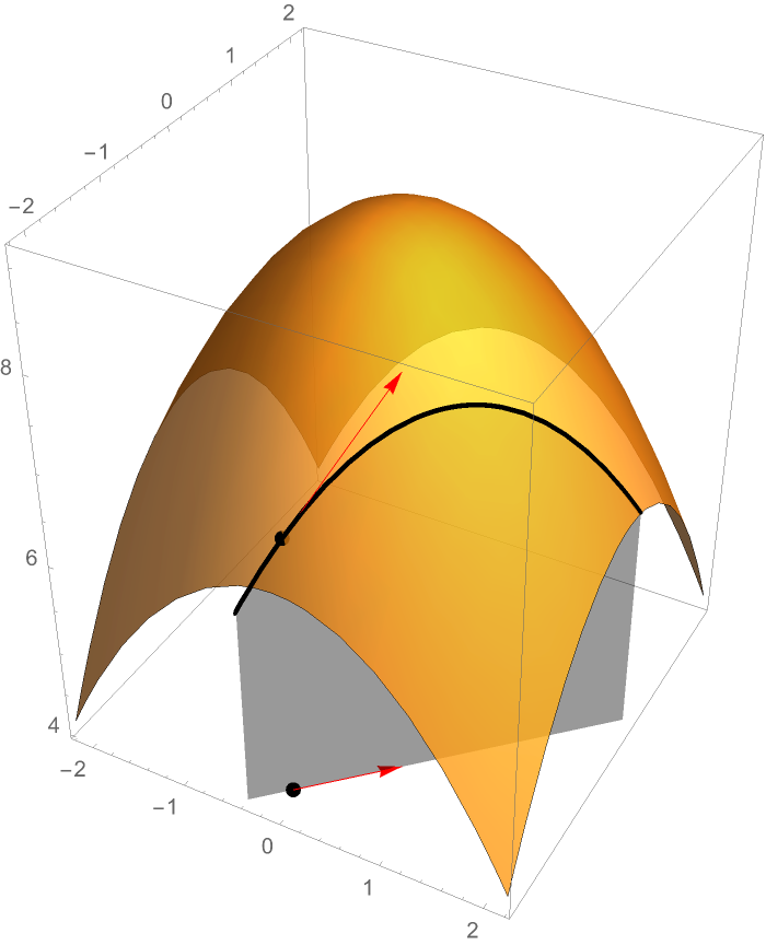 DirectionalDerivativePlot3D | Wolfram Function Repository