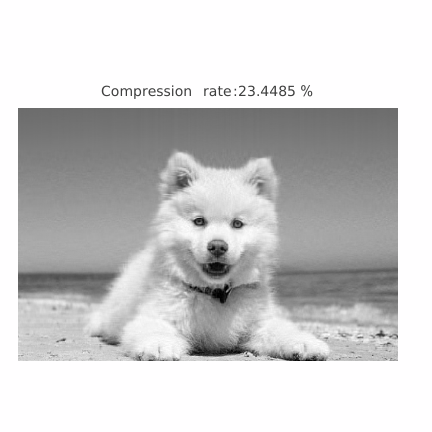 Image Compression Using SVD | Wolfram Language Example Repository
