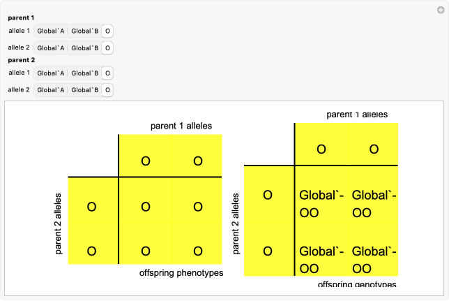 phenotype example blood type