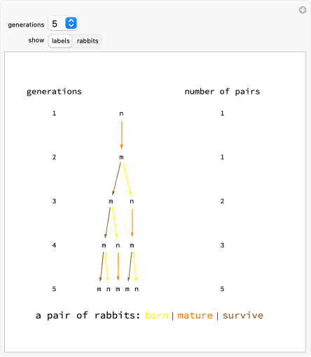 Wolfram Demonstrations Project