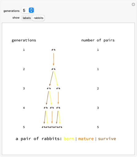 Fibonacci Rabbits Fibonacci Rabbit Simulator | Devpost