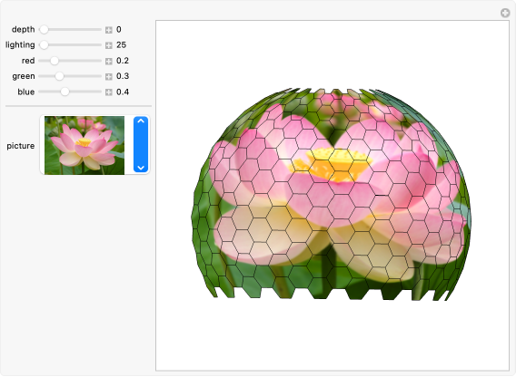 Wolfram Demonstrations Project