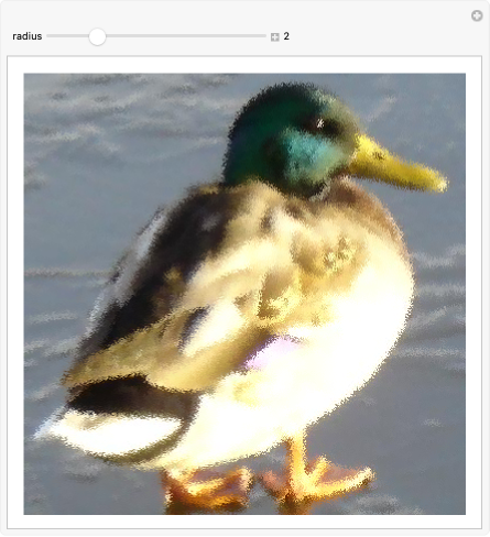 Wolfram Demonstrations Project