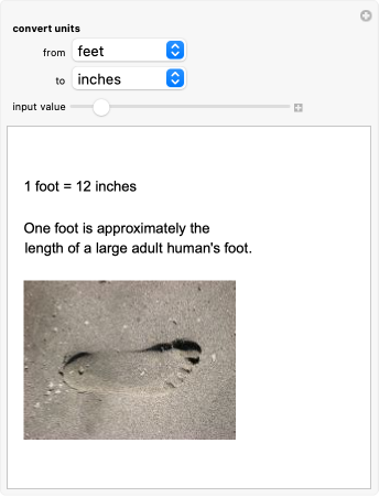 Wolfram Demonstrations Project