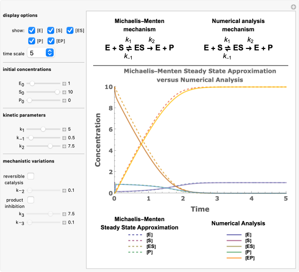 Enzyme Kinetics Figure 1 From Shadows And Lights In Enzyme Kinetics