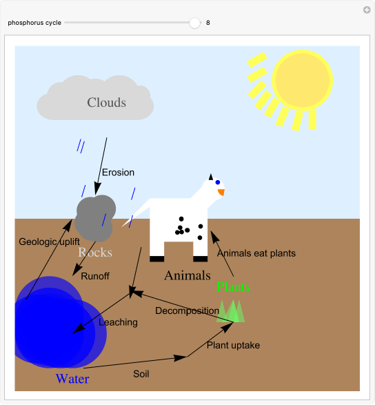 Wolfram Demonstrations Project