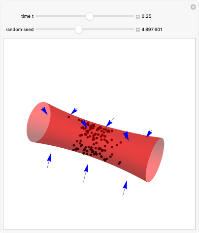Blaise Pascal Syringe