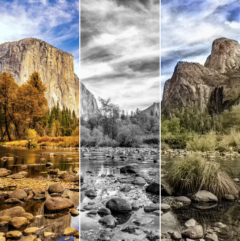 Photo Colorization | Wolfram Resource Object